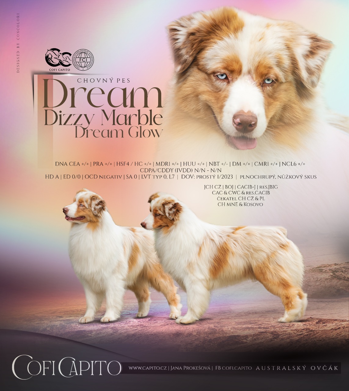 Dizzy Marble Dream Glow :: Cofi Capito